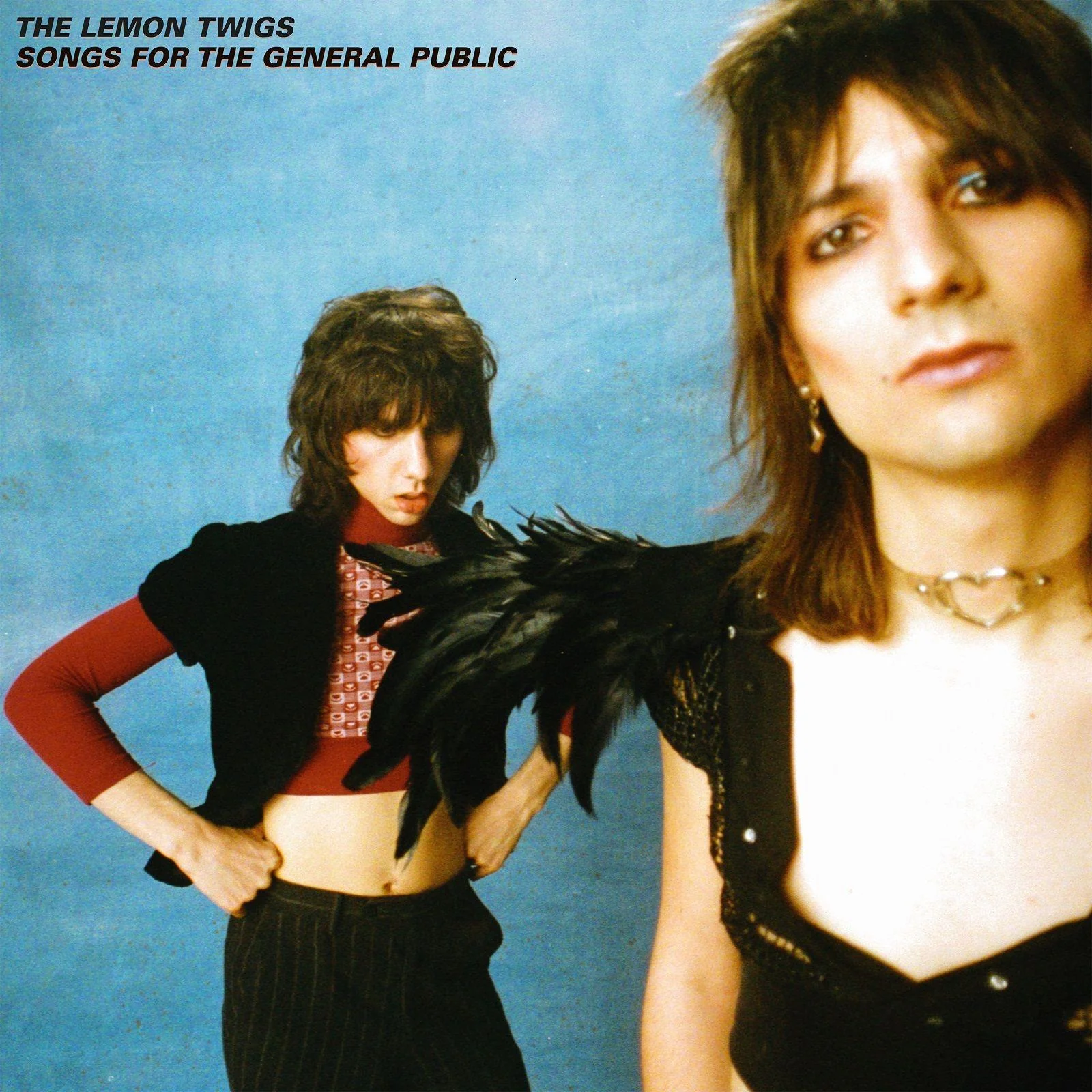 THE LEMON TWIGS - Songs for the General Public Vinyl – JWrayRecords